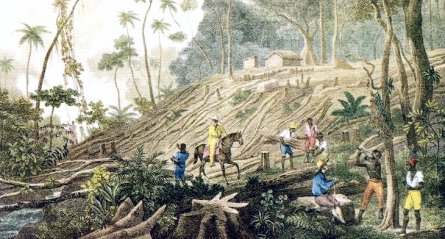HST3105: History of Brazil | Center for Latin American Studies