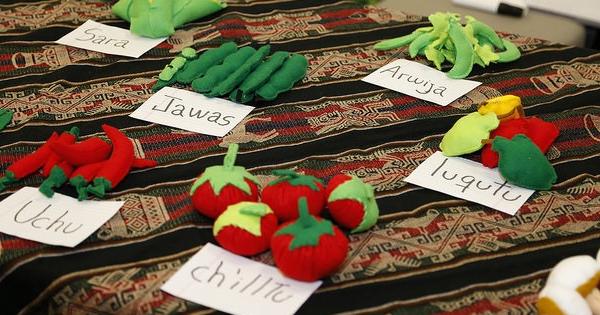 Supporting Indigenous Languages and Cultures of Latin America | Center ...